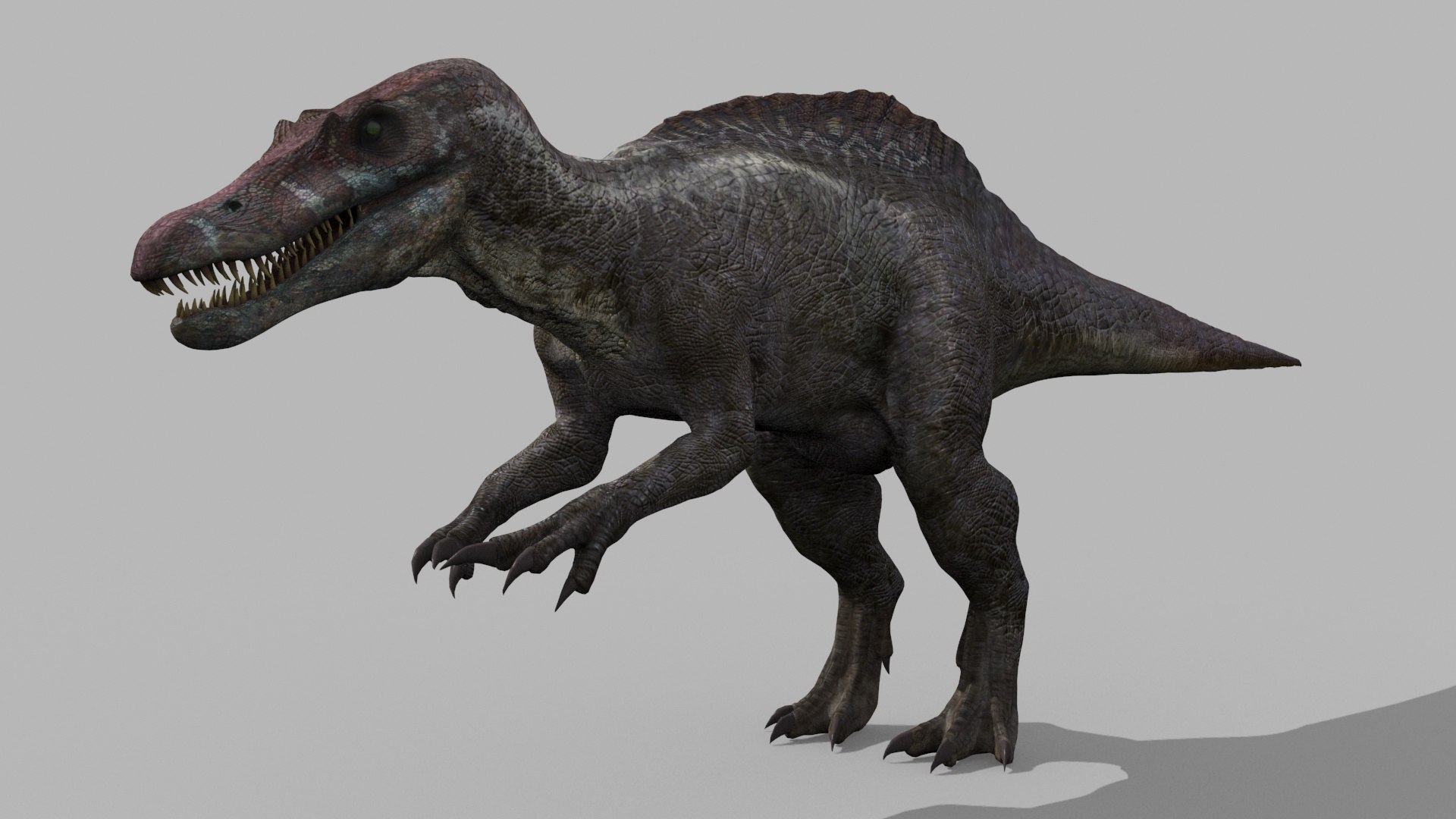 3D Suchomimus Tenerensis - 8K Animated - TurboSquid 2005793