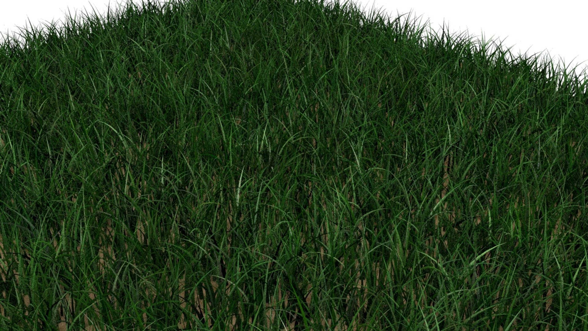 3D Grass Lawn Model - TurboSquid 1662398
