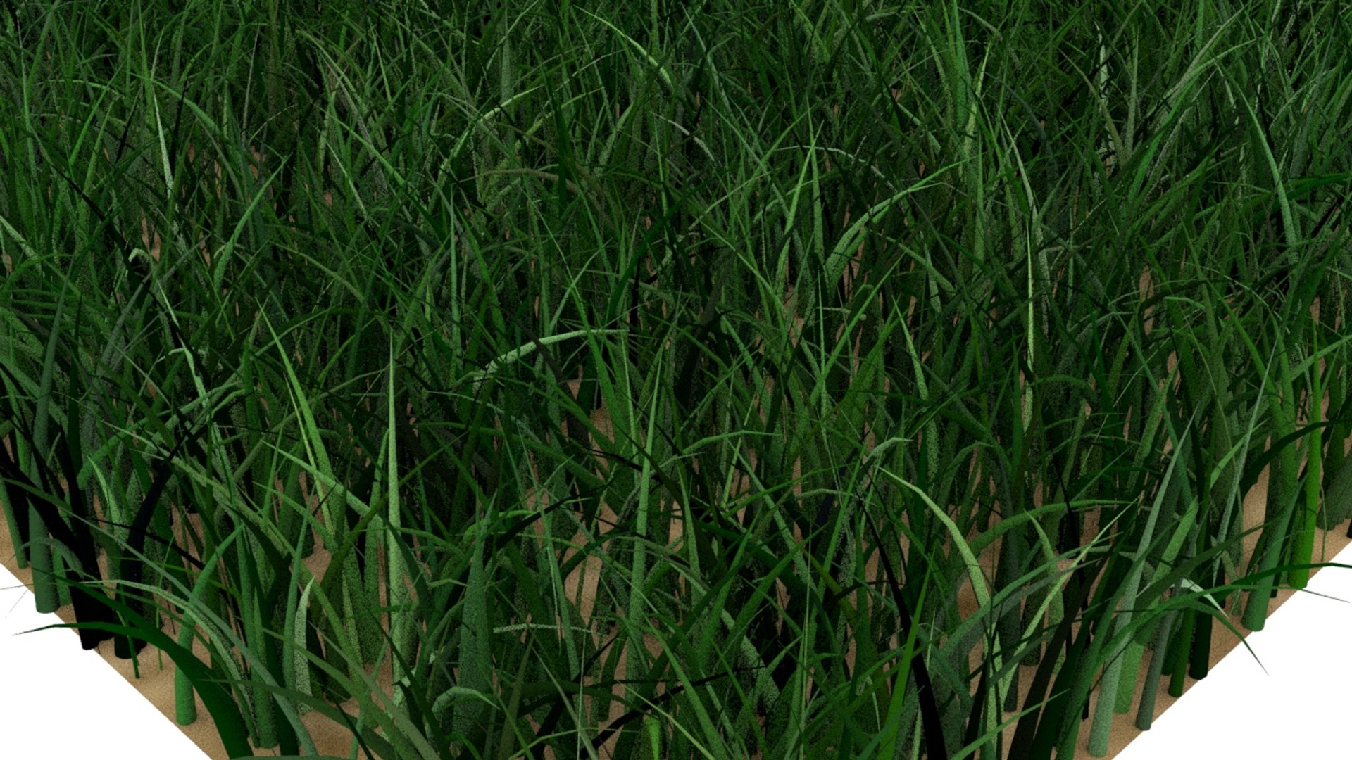 3D Grass Lawn Model - TurboSquid 1662398