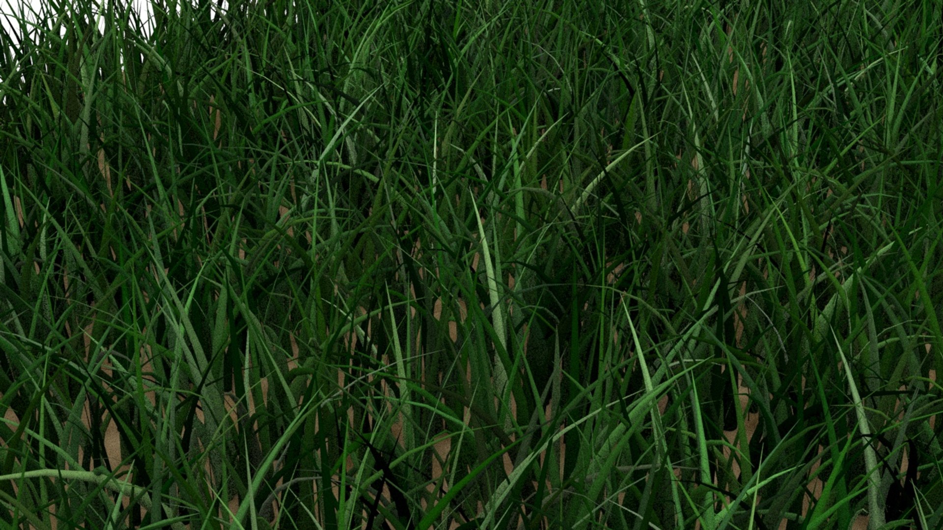 3D Grass Lawn Model - TurboSquid 1662398