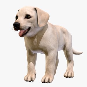 Dog Labrador 3D Model - TurboSquid 1635732