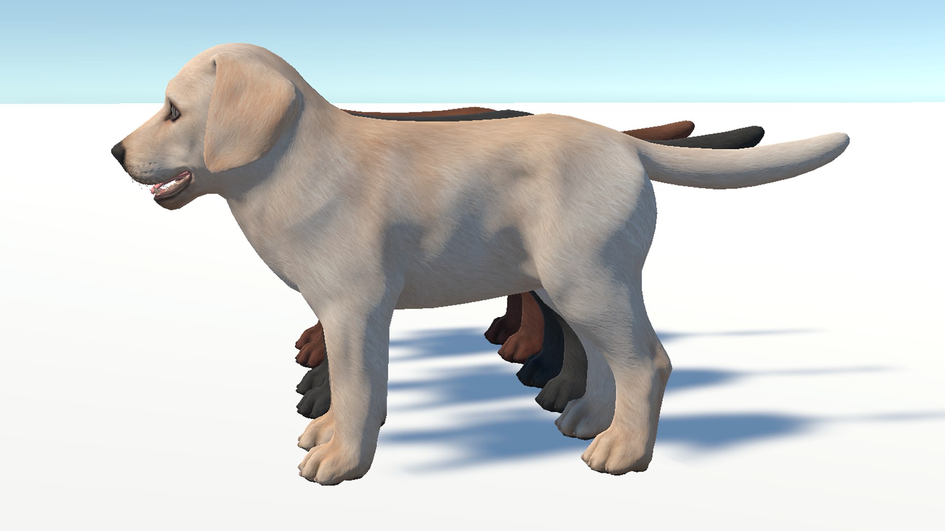 Puppy - Labrador Model - TurboSquid 2070753