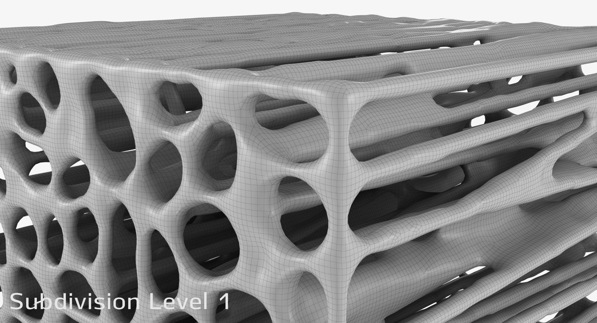 3D Cube Bone Matrix - TurboSquid 2365238