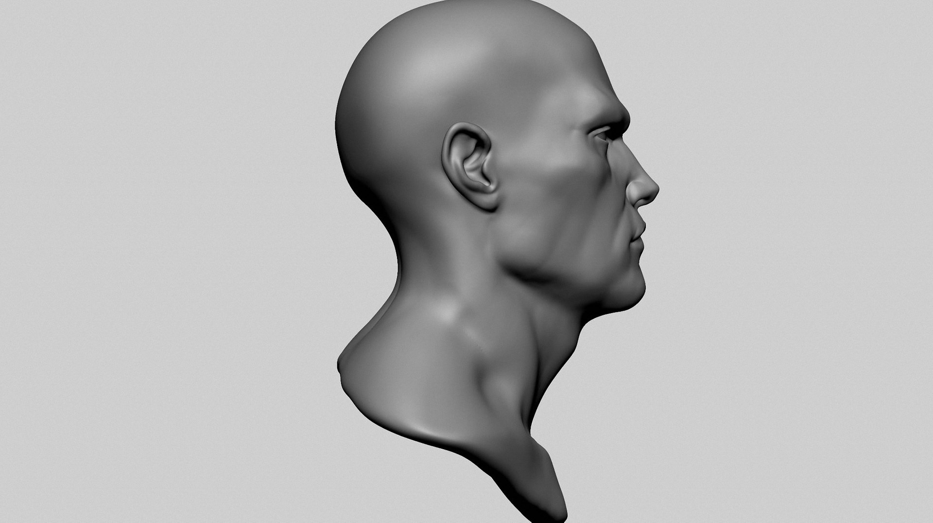 Stylized Male Head 3D Model - TurboSquid 1871048