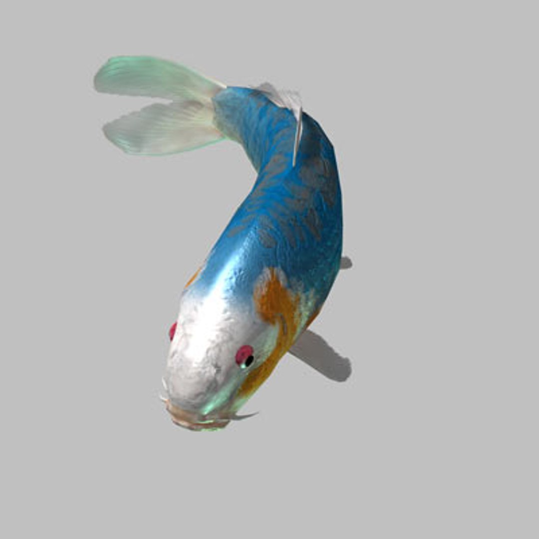 Koi Fishes 3d Model