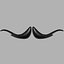 3d Moustache Colection