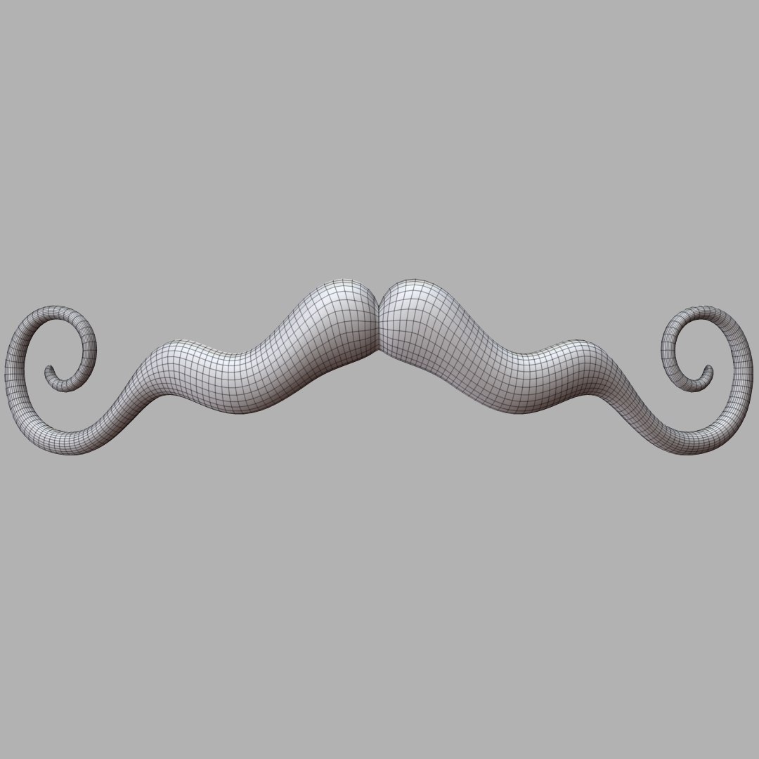 3d moustache colection