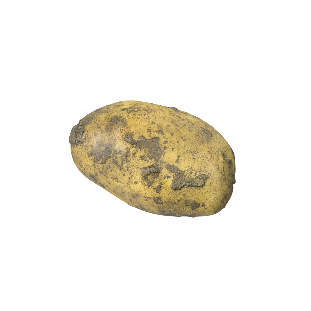 Dirty Potato 3D Model - TurboSquid 2327992