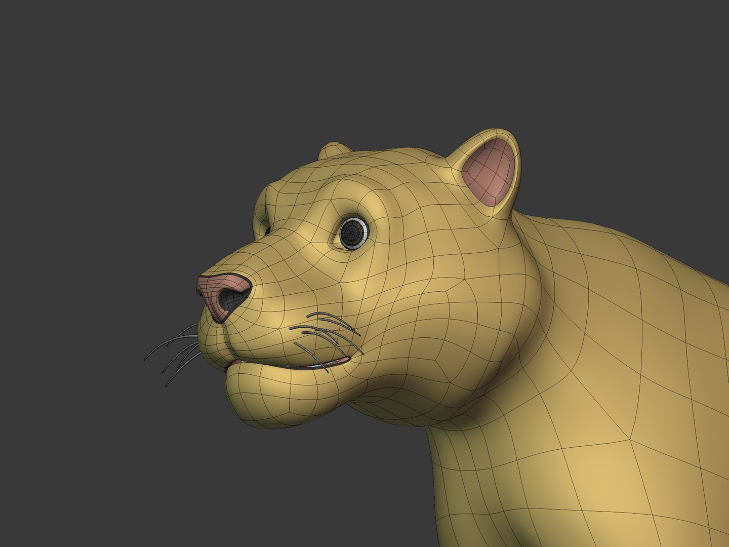 Cartoon Big Cat Base Mesh 3D model - TurboSquid 1809210