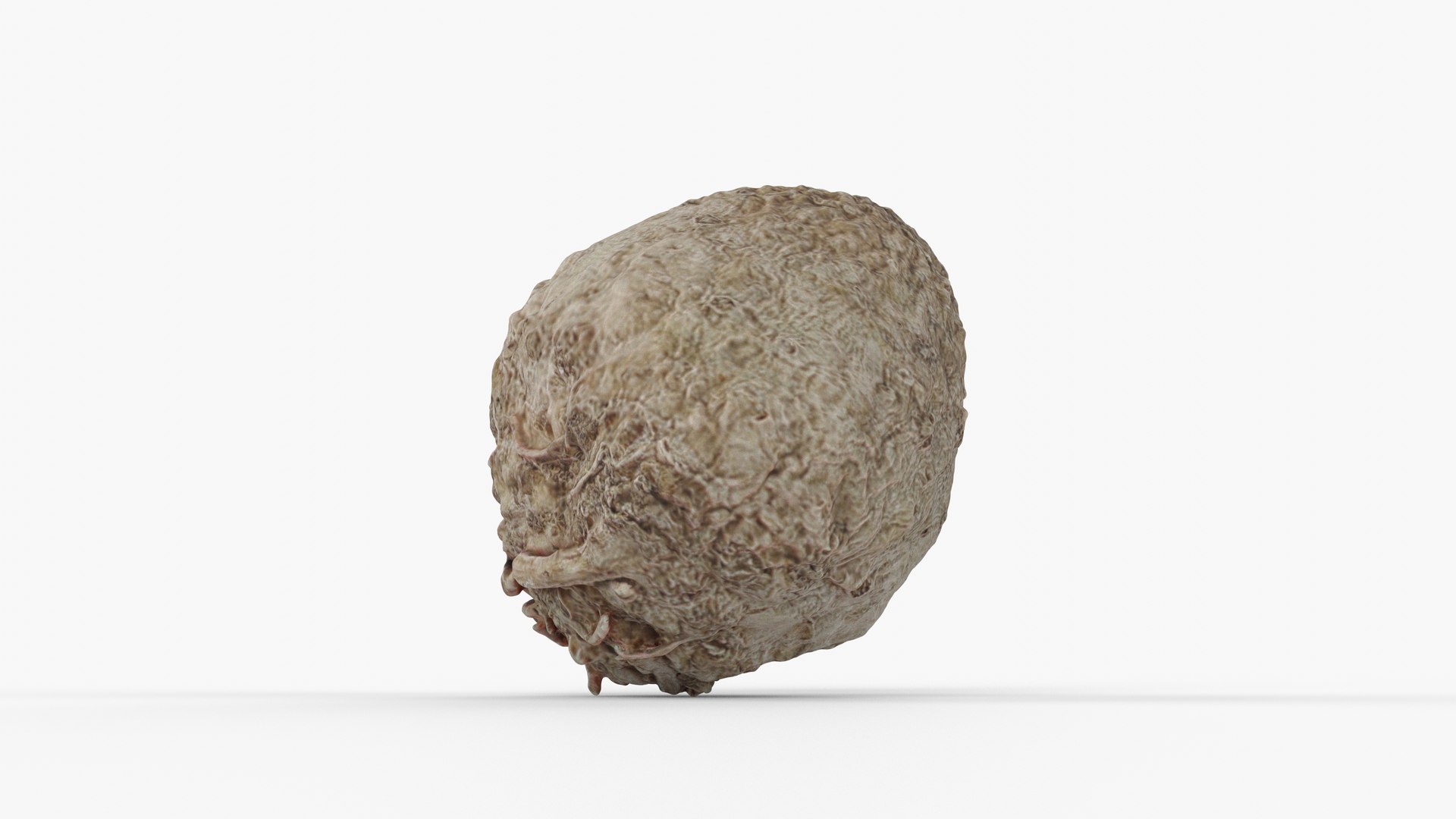 Photorealistic 3D Scan Of Celery 3D Model - TurboSquid 2346769