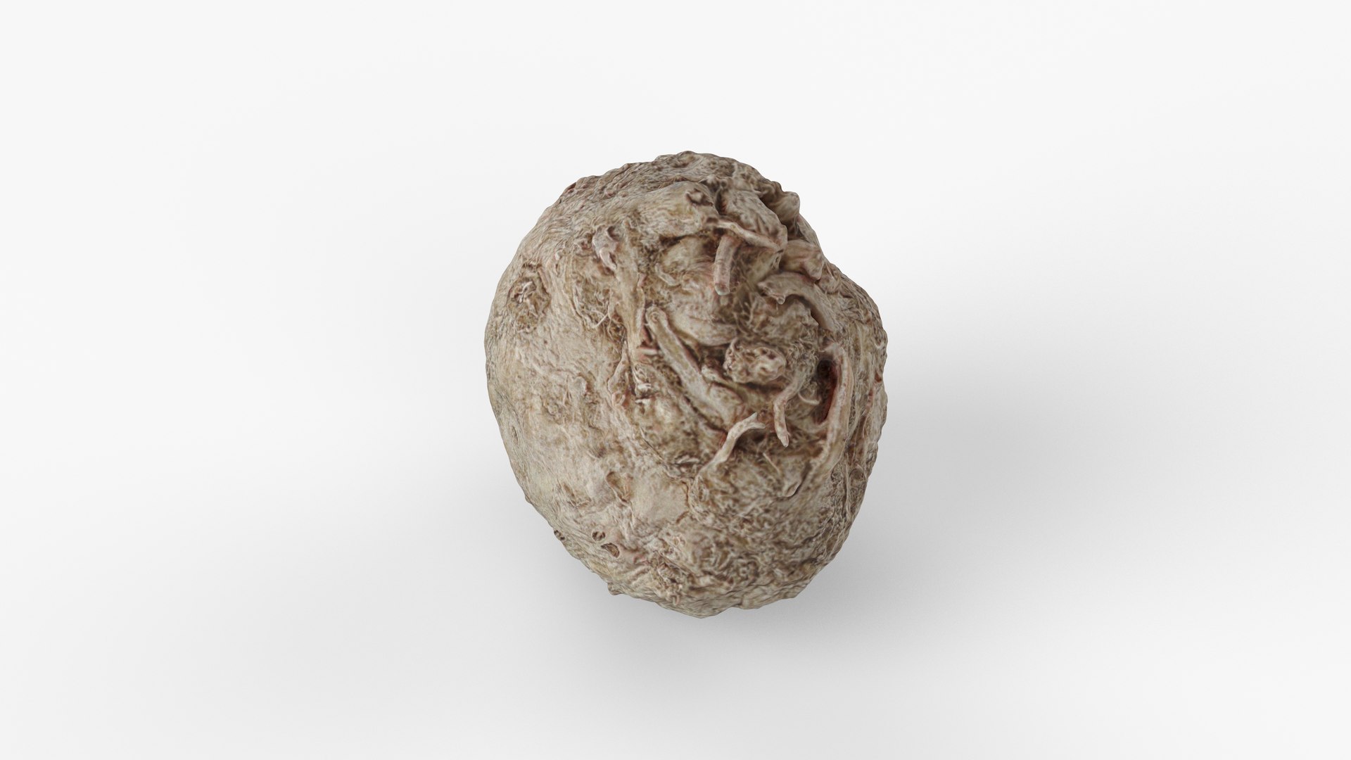 Photorealistic 3D Scan Of Celery 3D Model - TurboSquid 2346769