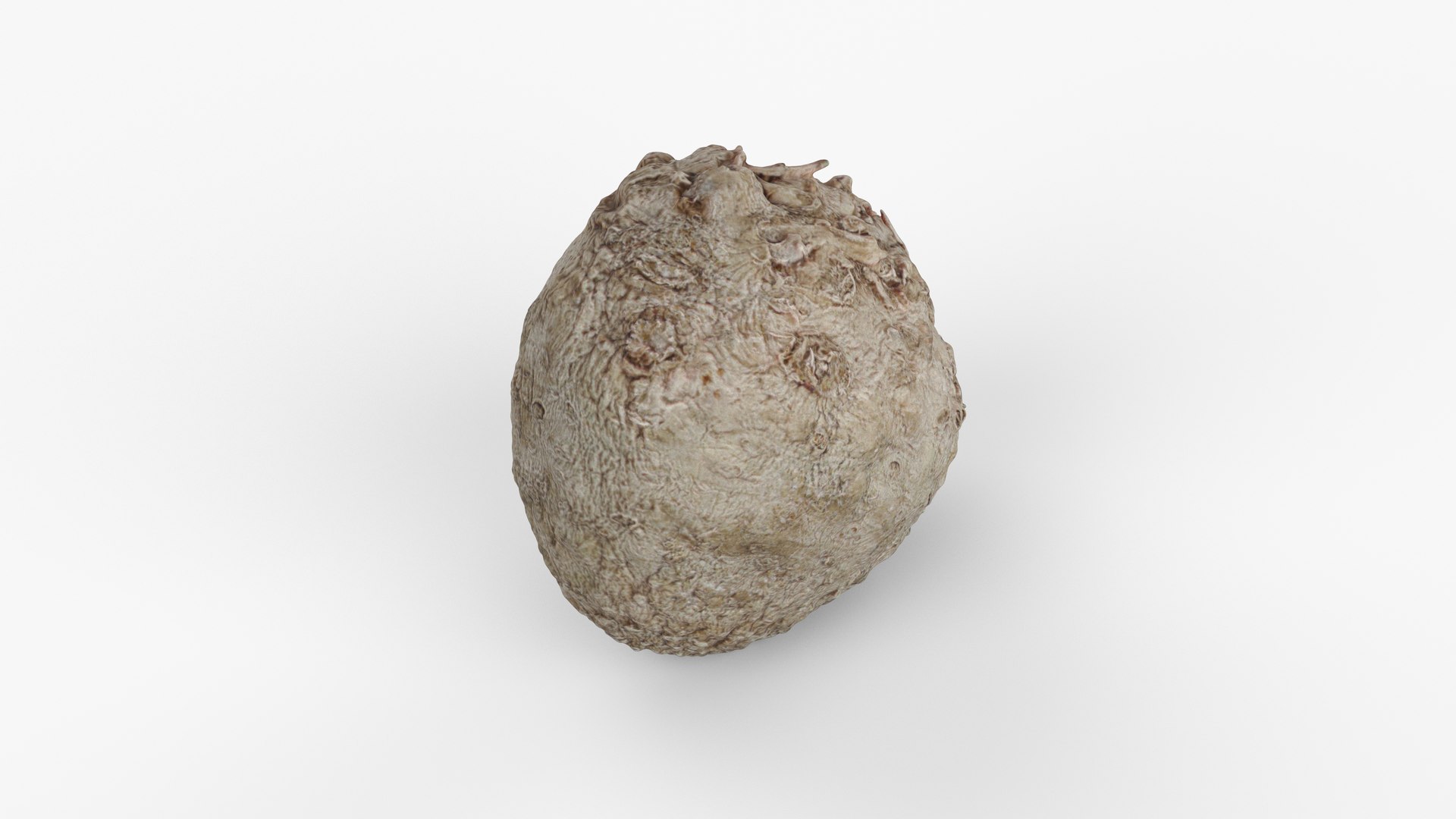 Photorealistic 3D Scan Of Celery 3D Model - TurboSquid 2346769