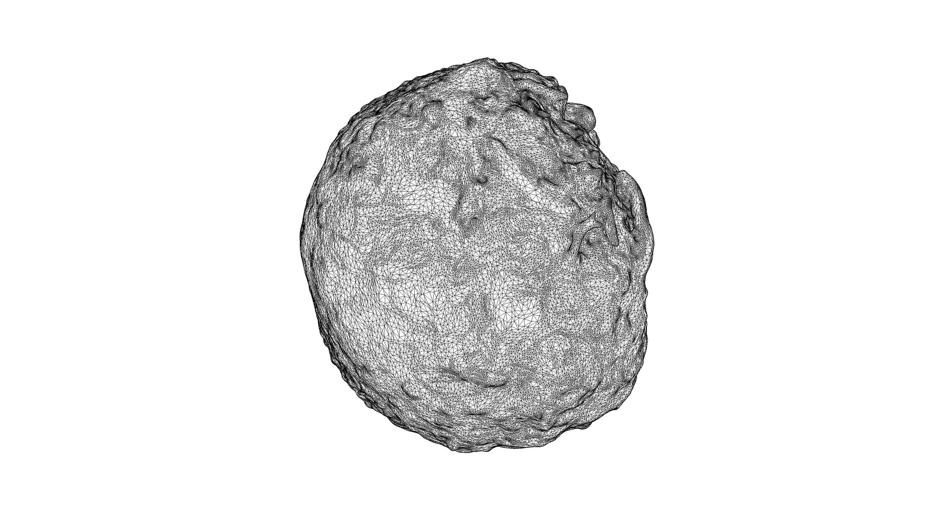 Photorealistic 3D Scan Of Celery 3D Model - TurboSquid 2346769