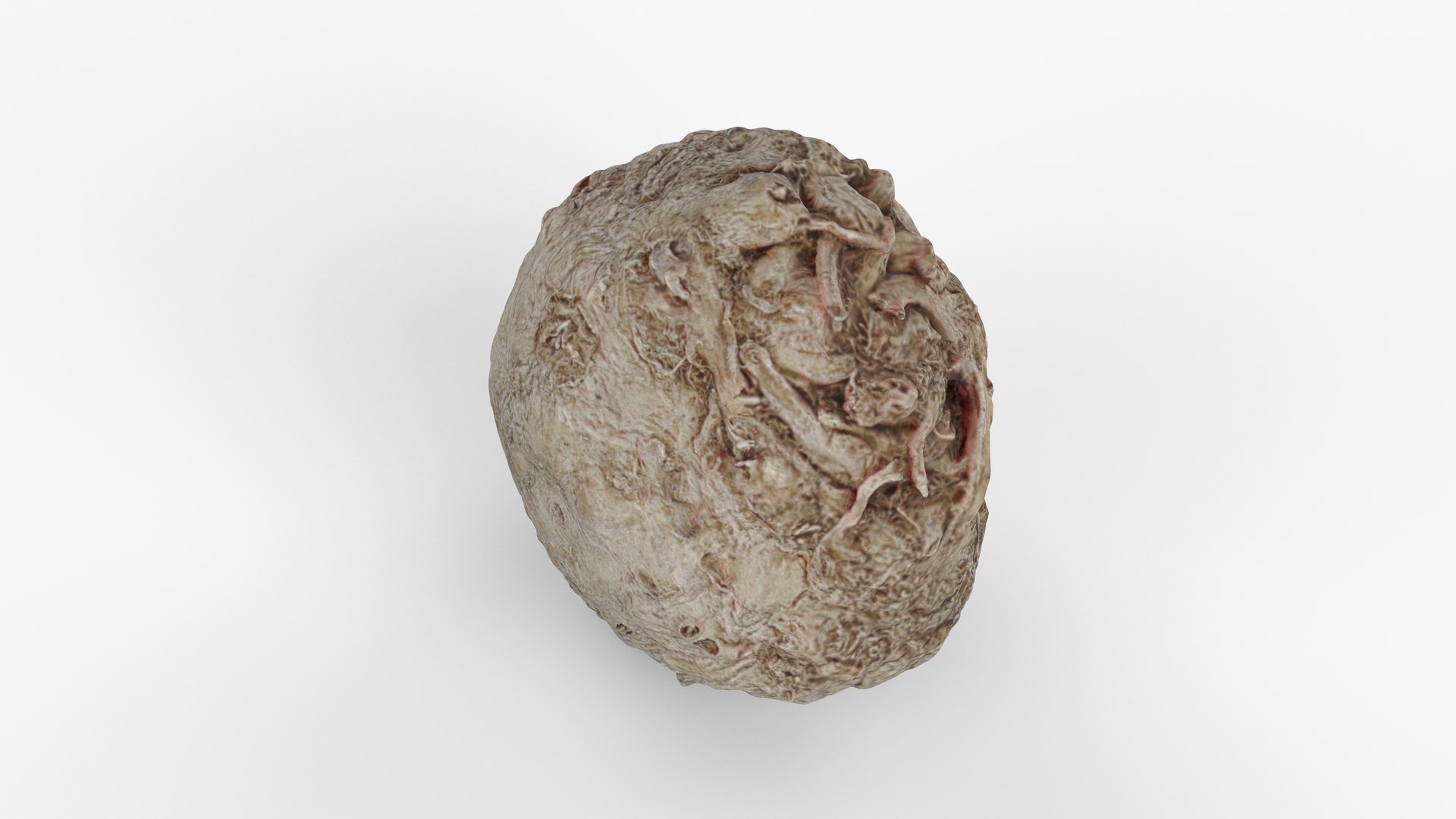 Photorealistic 3D Scan Of Celery 3D Model - TurboSquid 2346769