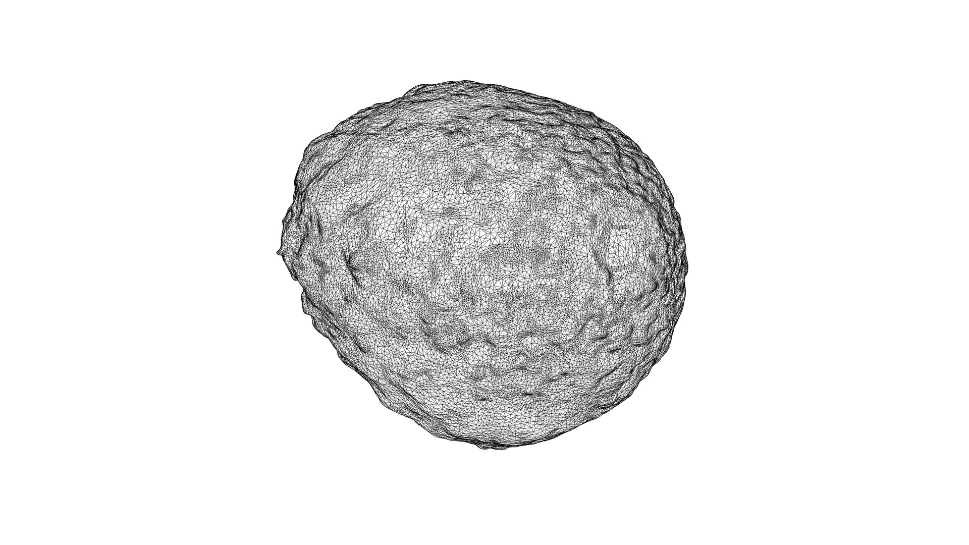 Photorealistic 3D Scan Of Celery 3D Model - TurboSquid 2346769