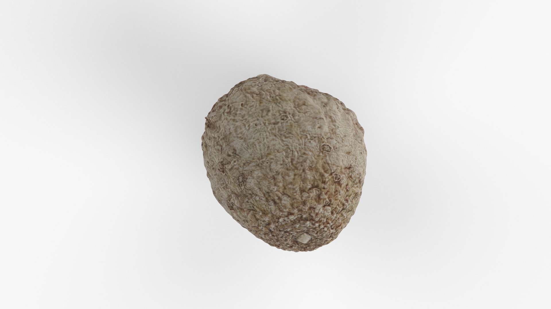 Photorealistic 3D Scan Of Celery 3D Model - TurboSquid 2346769