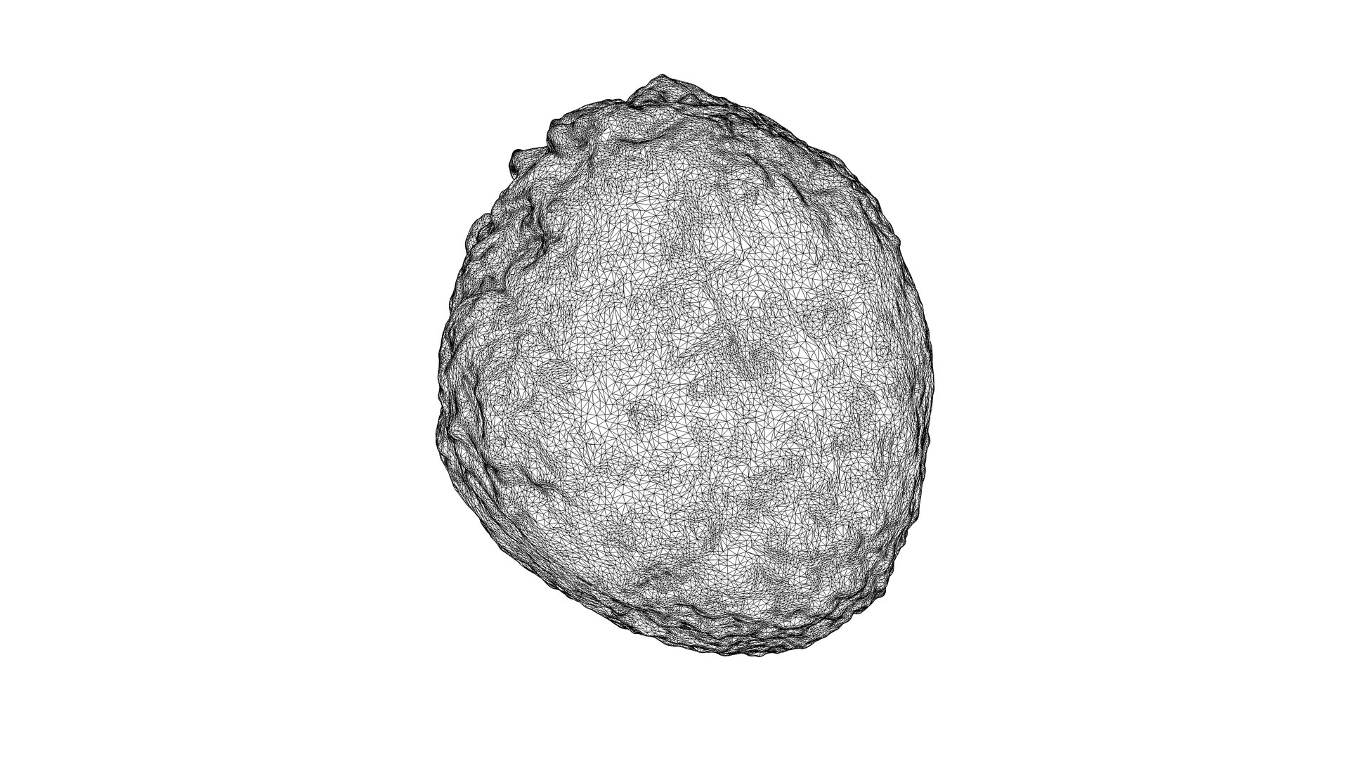 Photorealistic 3D Scan Of Celery 3D Model - TurboSquid 2346769