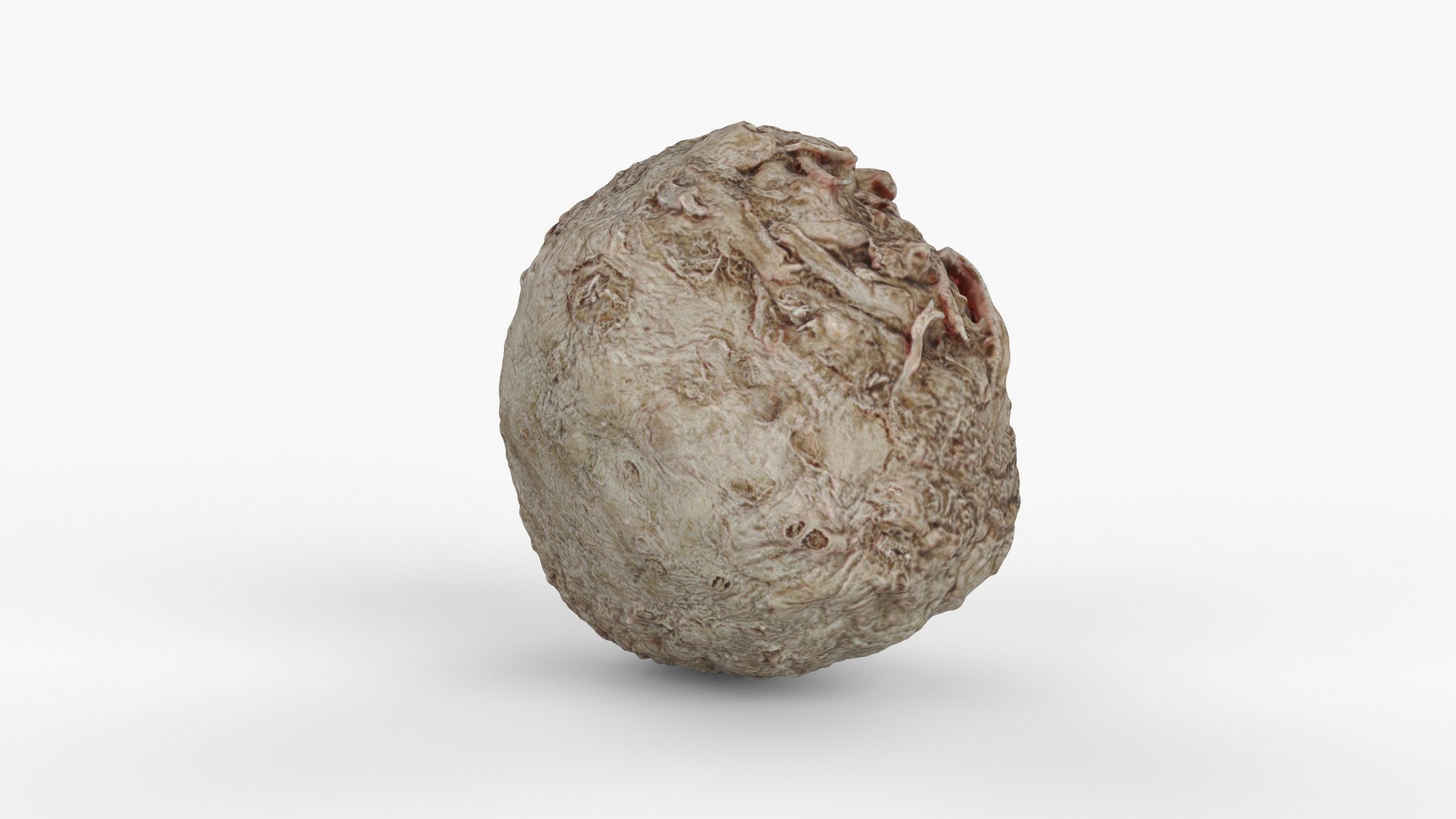 Photorealistic 3D Scan Of Celery 3D Model - TurboSquid 2346769