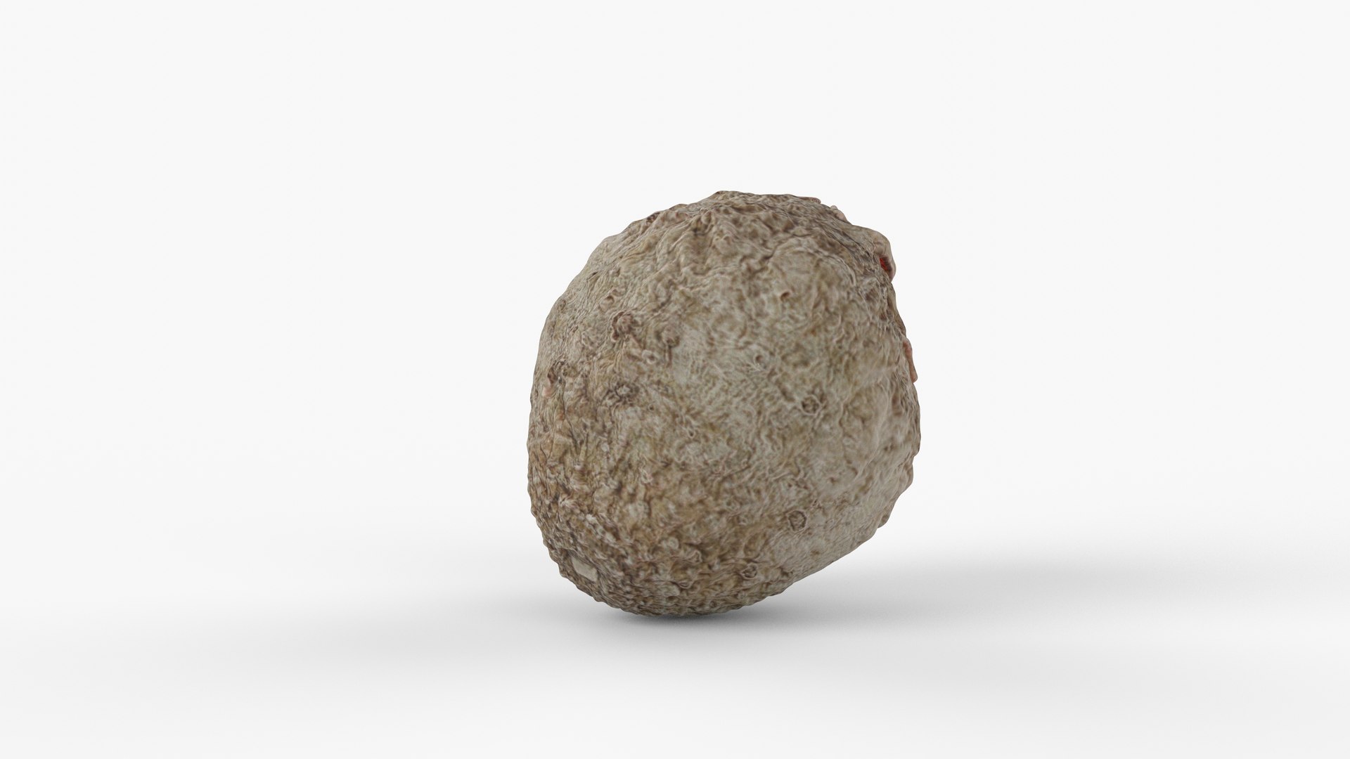 Photorealistic 3D Scan Of Celery 3D Model - TurboSquid 2346769