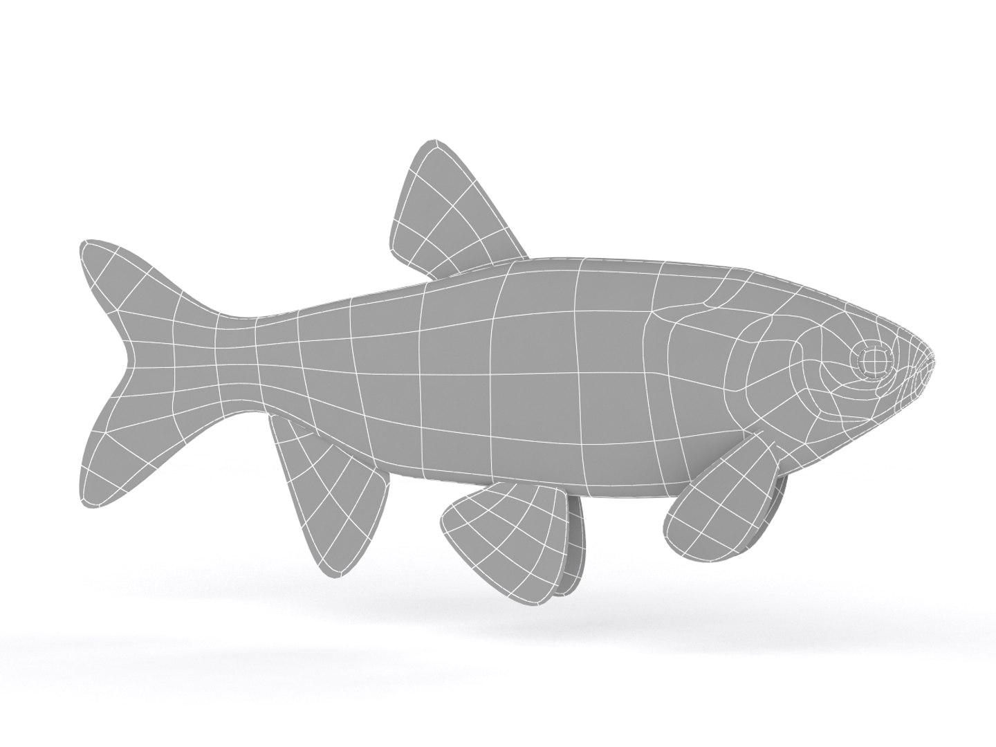 Freshwater Fish Model - TurboSquid 1641065
