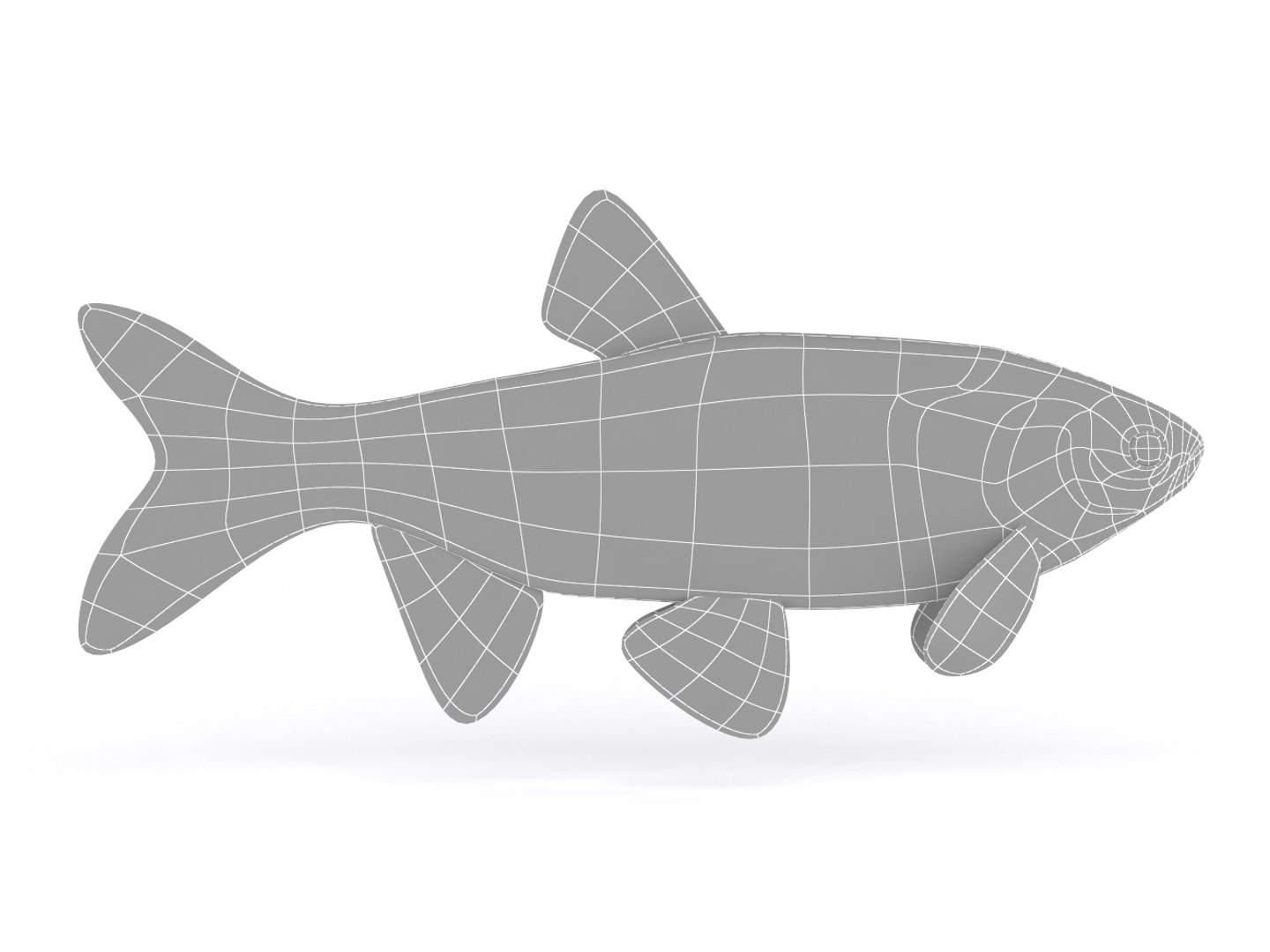 Freshwater Fish Model - TurboSquid 1641065