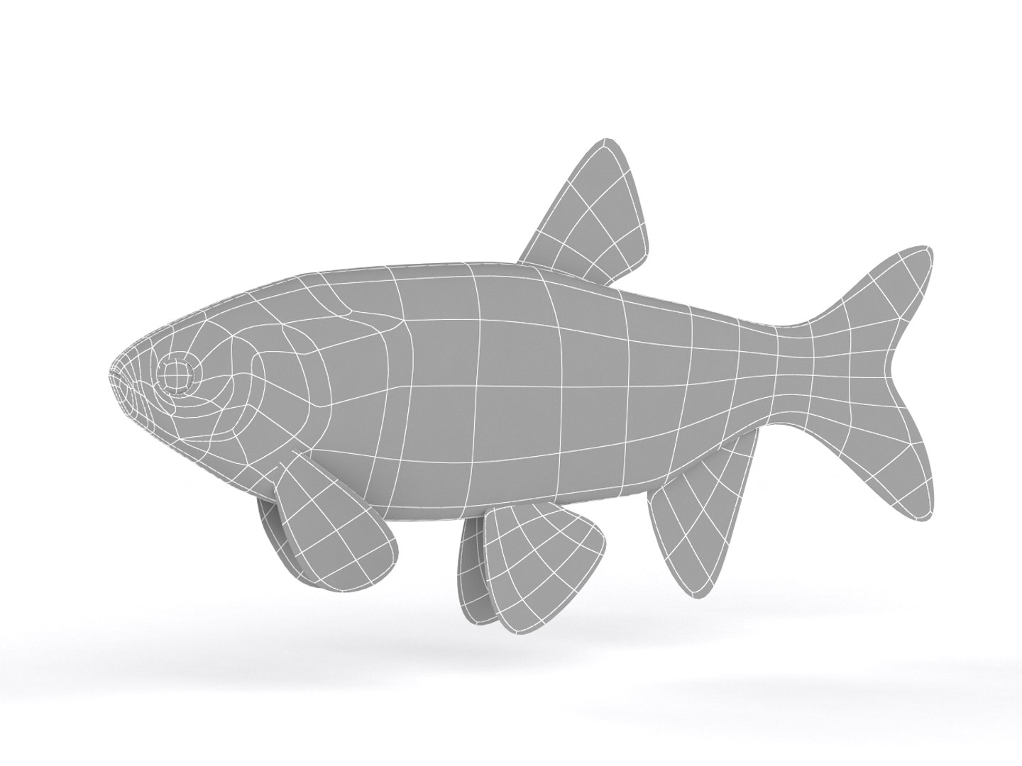 Freshwater Fish Model - TurboSquid 1641065