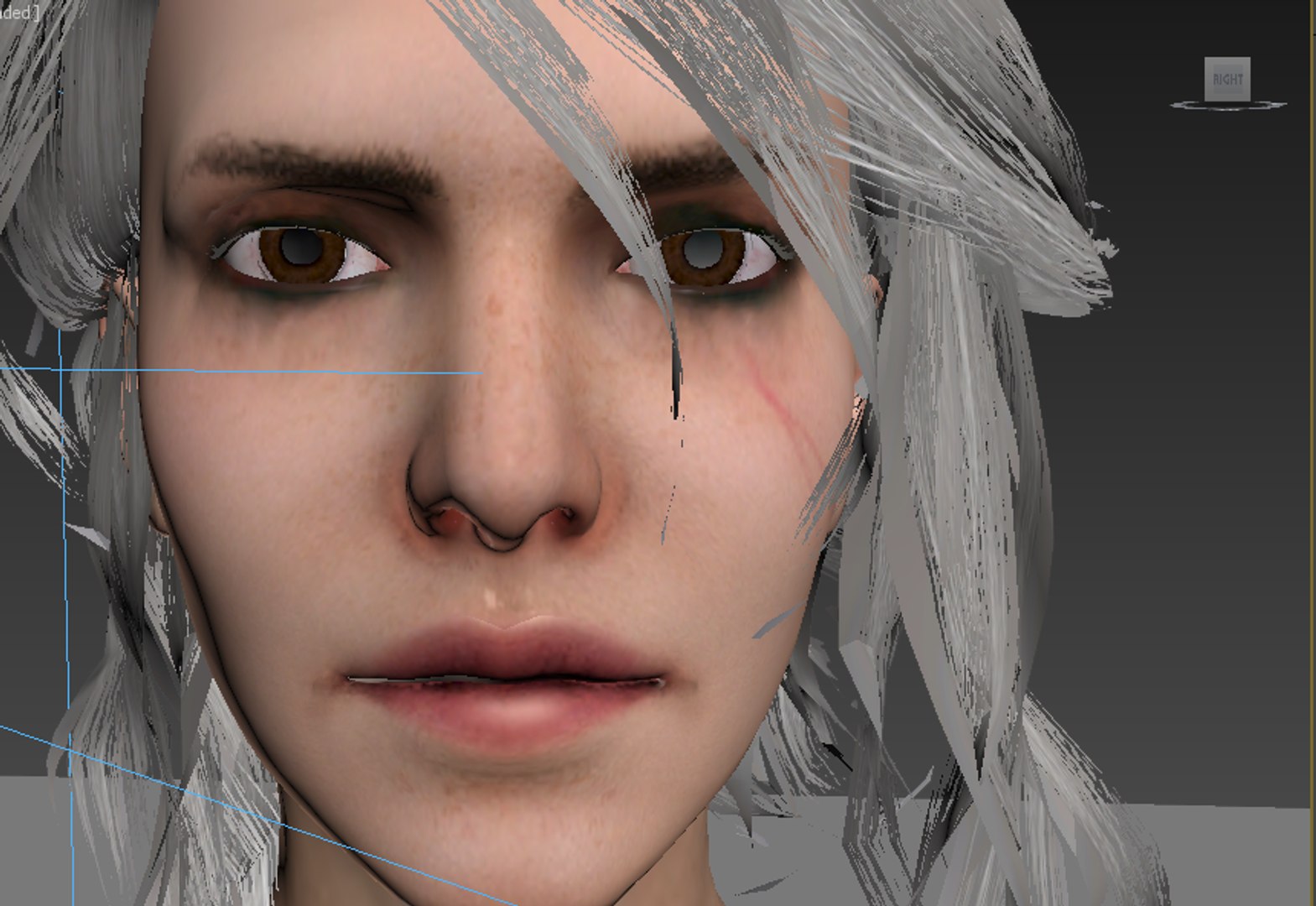 3d Ciri 3 Wild Hunt