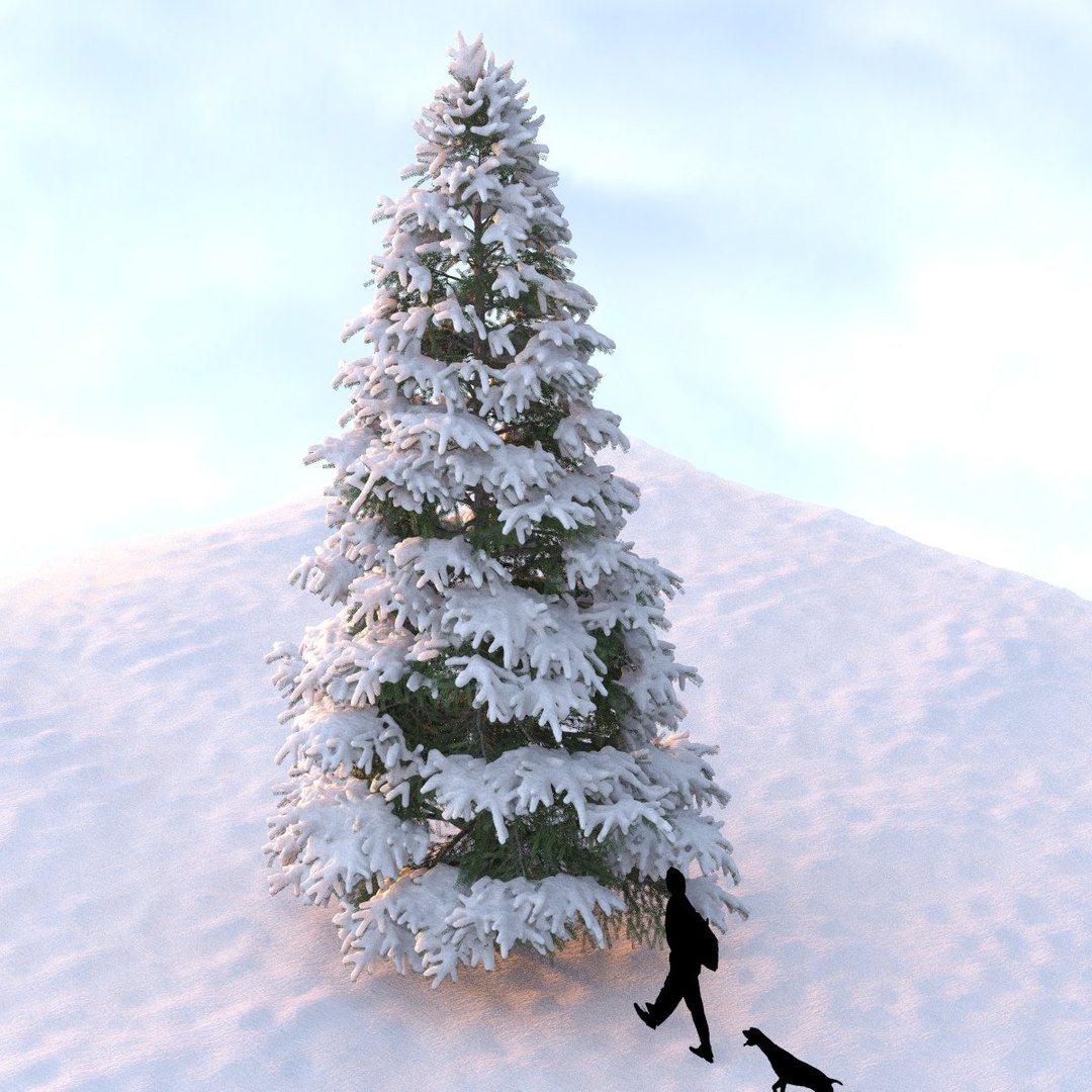 Winter Tree 3d Model
