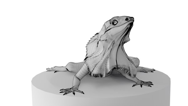 3D lizards animal nature model - TurboSquid 1679514
