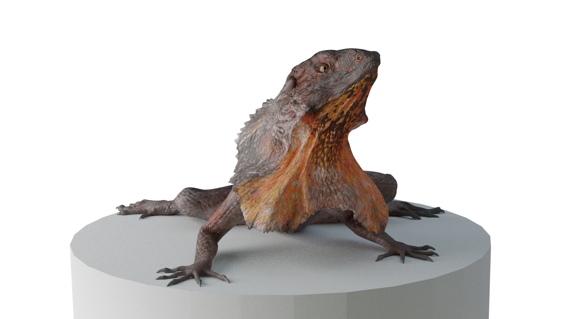 3D Lizards Animal Nature Model - TurboSquid 1679514