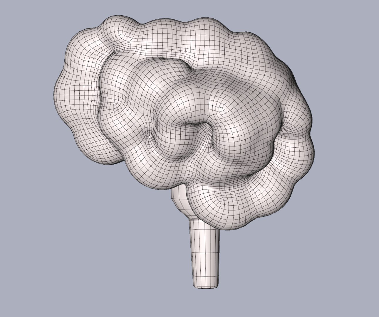 Simple Brain Anatomy 3D - TurboSquid 1493655