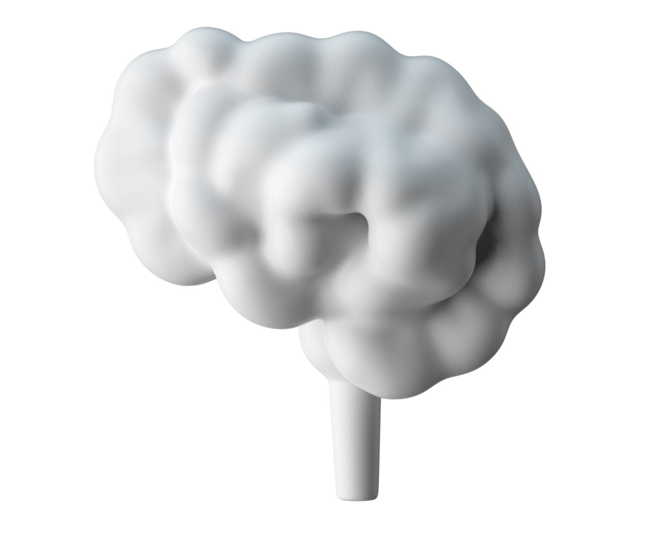 Simple Brain Anatomy 3D - TurboSquid 1493655