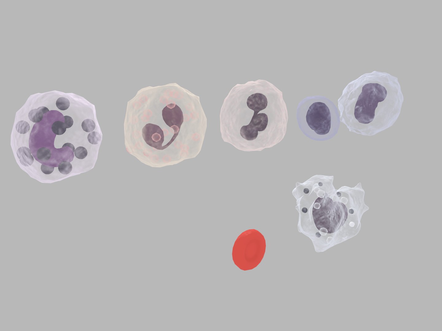 3D Model Blood Cells - TurboSquid 1429090