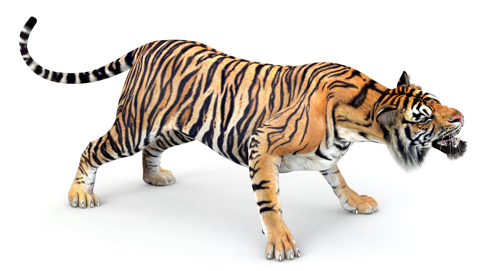Sumatran Tiger Animations Model - TurboSquid 1441800