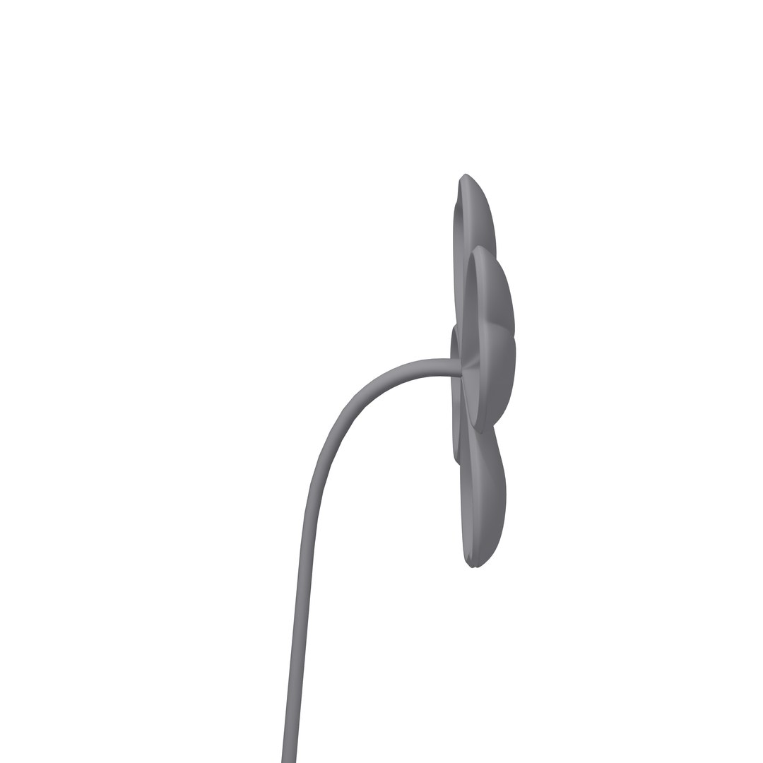 3D Model Clover - TurboSquid 1706953