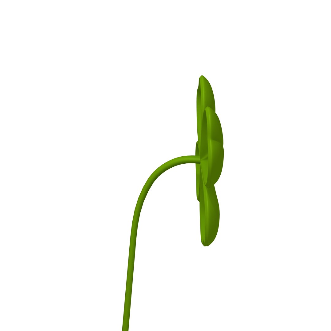 3D Model Clover - TurboSquid 1706953