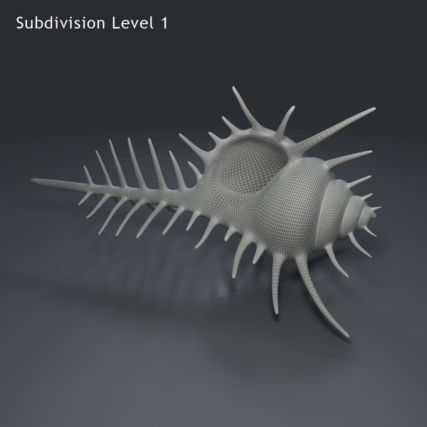 3d model shell