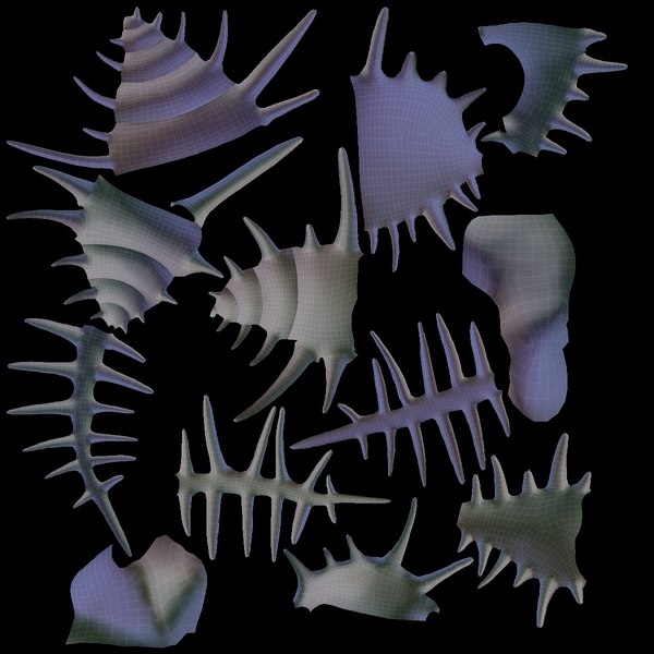 3d model shell