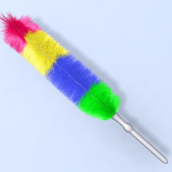 Feather Duster 3D Models for Download | TurboSquid
