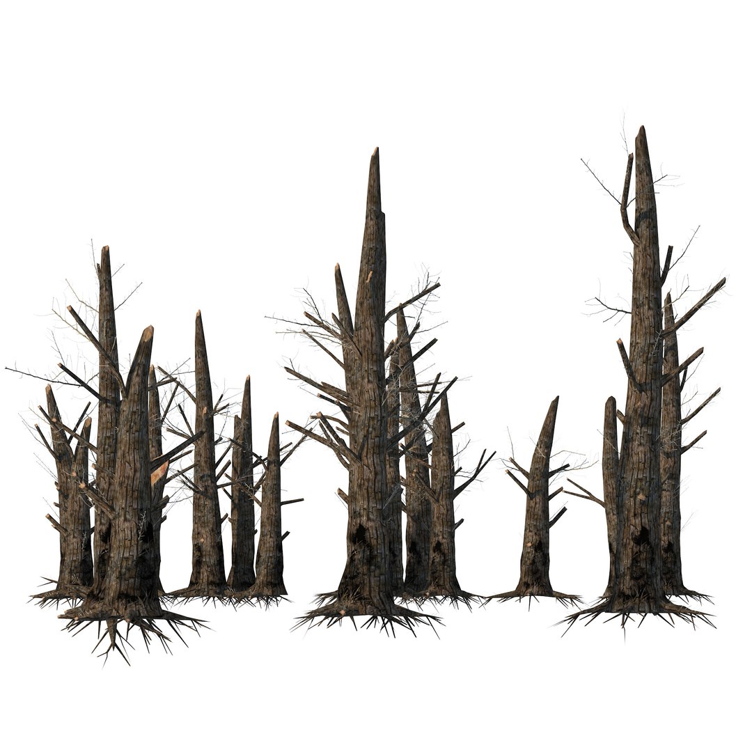 Burned Standing Dead Trees 3D Model - TurboSquid 2103925