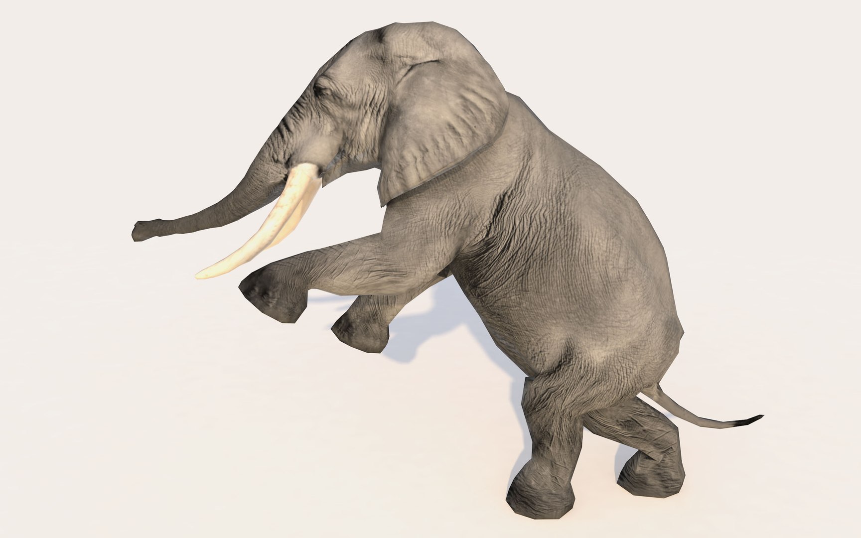 Elephant Animations 3D Model - TurboSquid 1653286