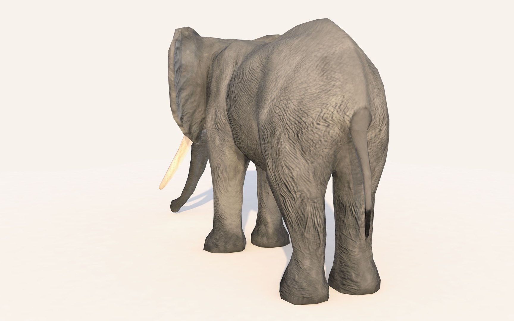 Elephant Animations 3D Model - TurboSquid 1653286