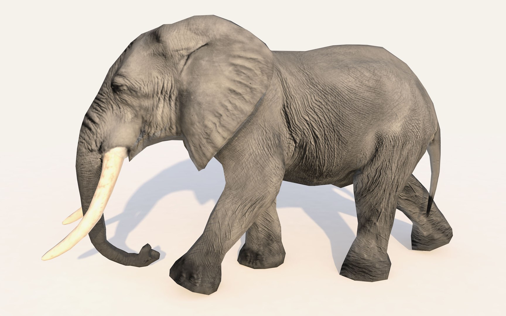 Elephant Animations 3D Model - TurboSquid 1653286