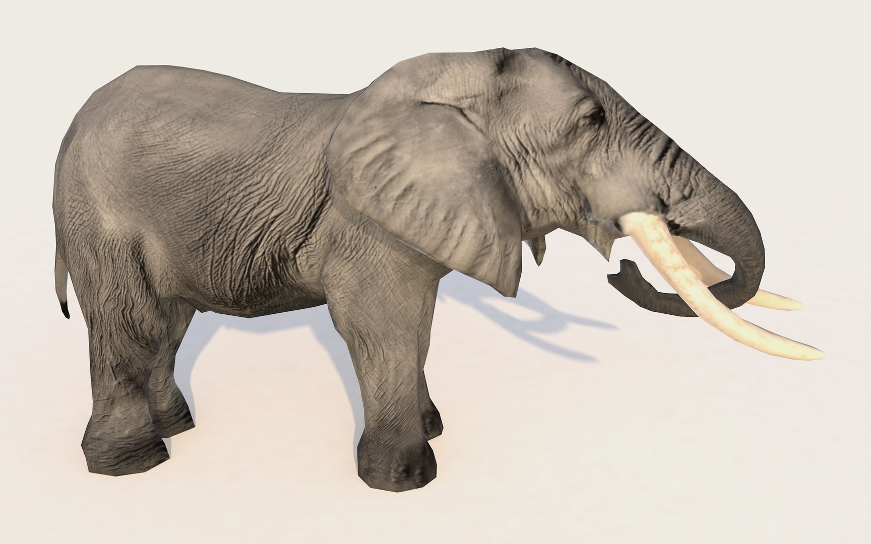 Elephant Animations 3D Model - TurboSquid 1653286