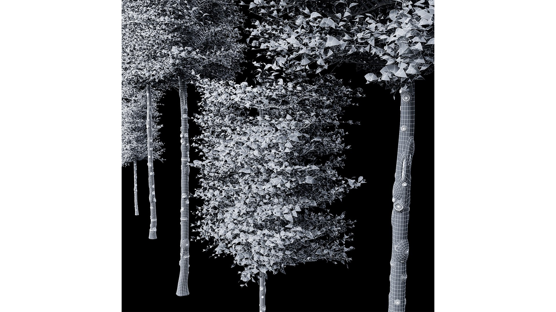 New Tree High Detail Carpinus Betulus Broadleaf Pole Model - TurboSquid ...