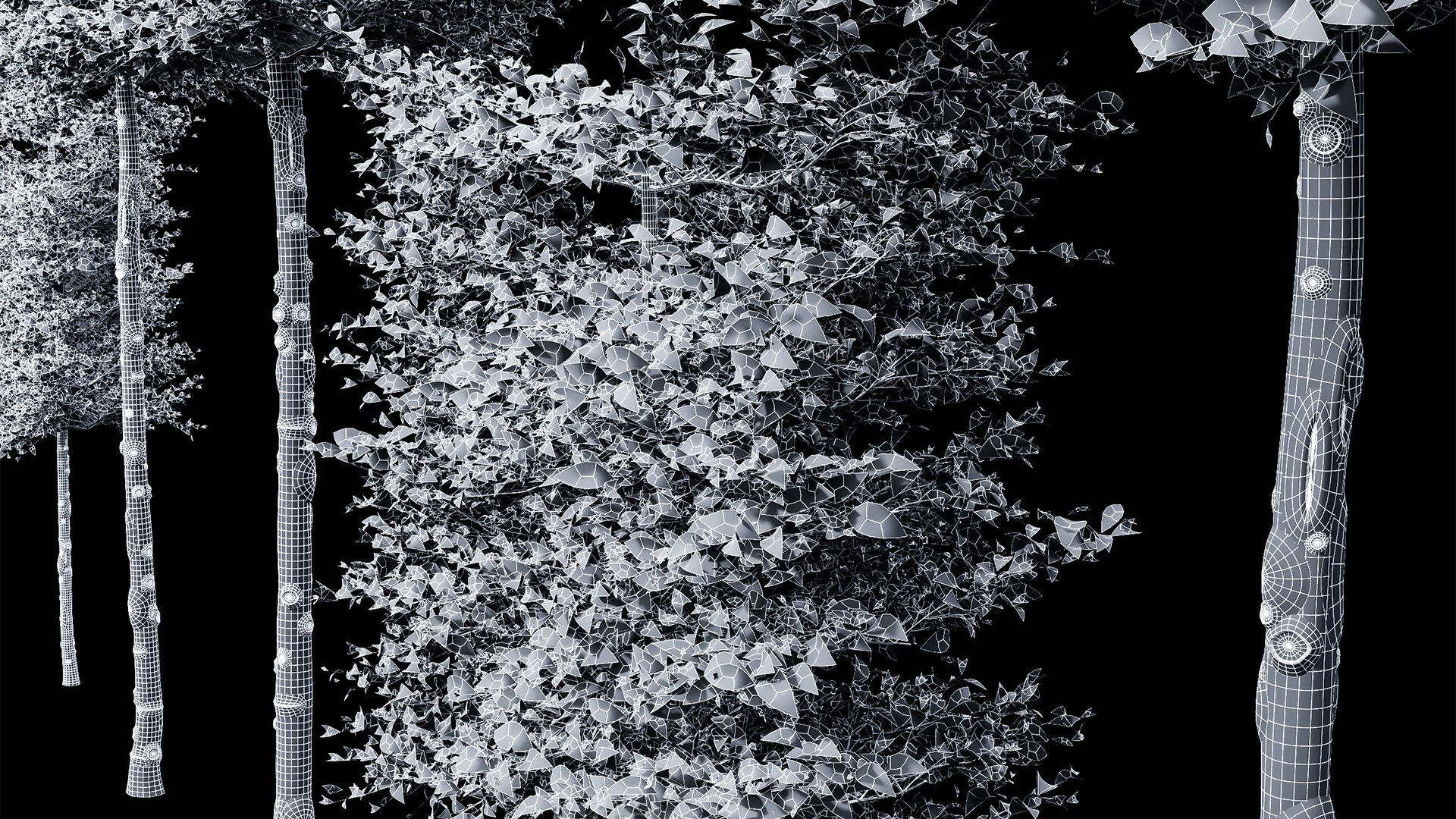 New Tree High Detail Carpinus Betulus Broadleaf Pole Model - TurboSquid ...