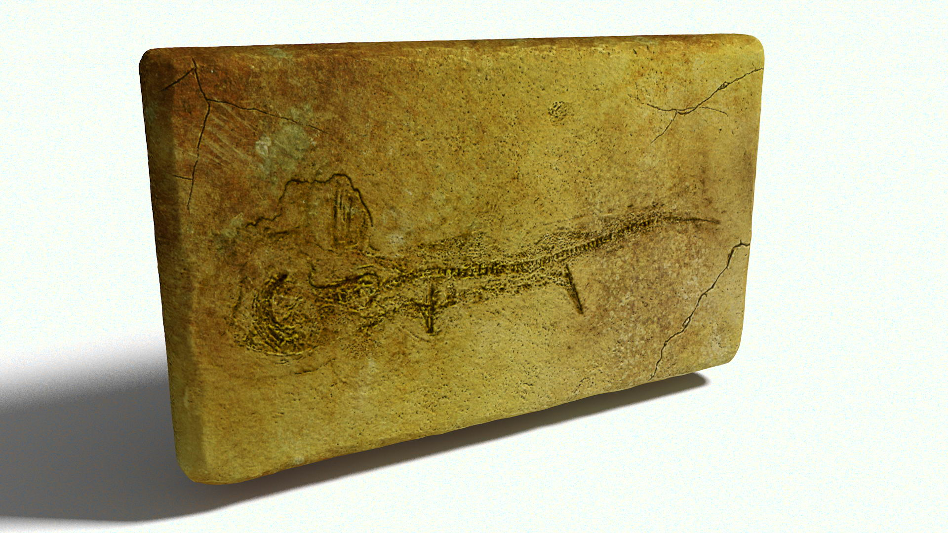 3D Fossil Stone Fish - TurboSquid 1187866