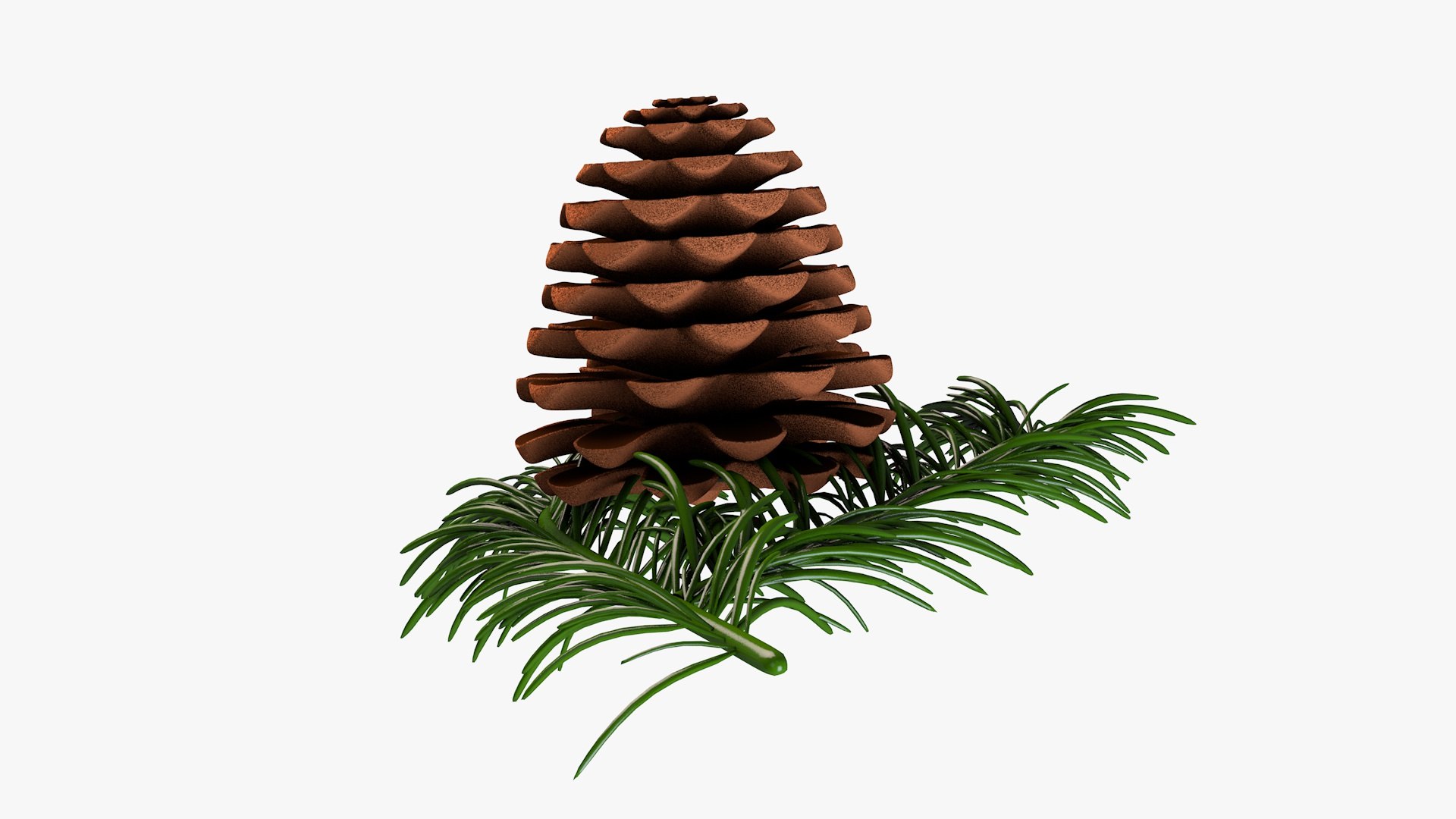3D Pine Cone Model - TurboSquid 1978703