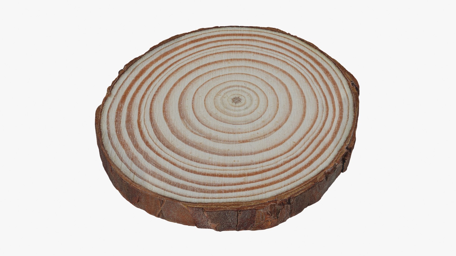 3D Wood Log Slice 02 - TurboSquid 2147987
