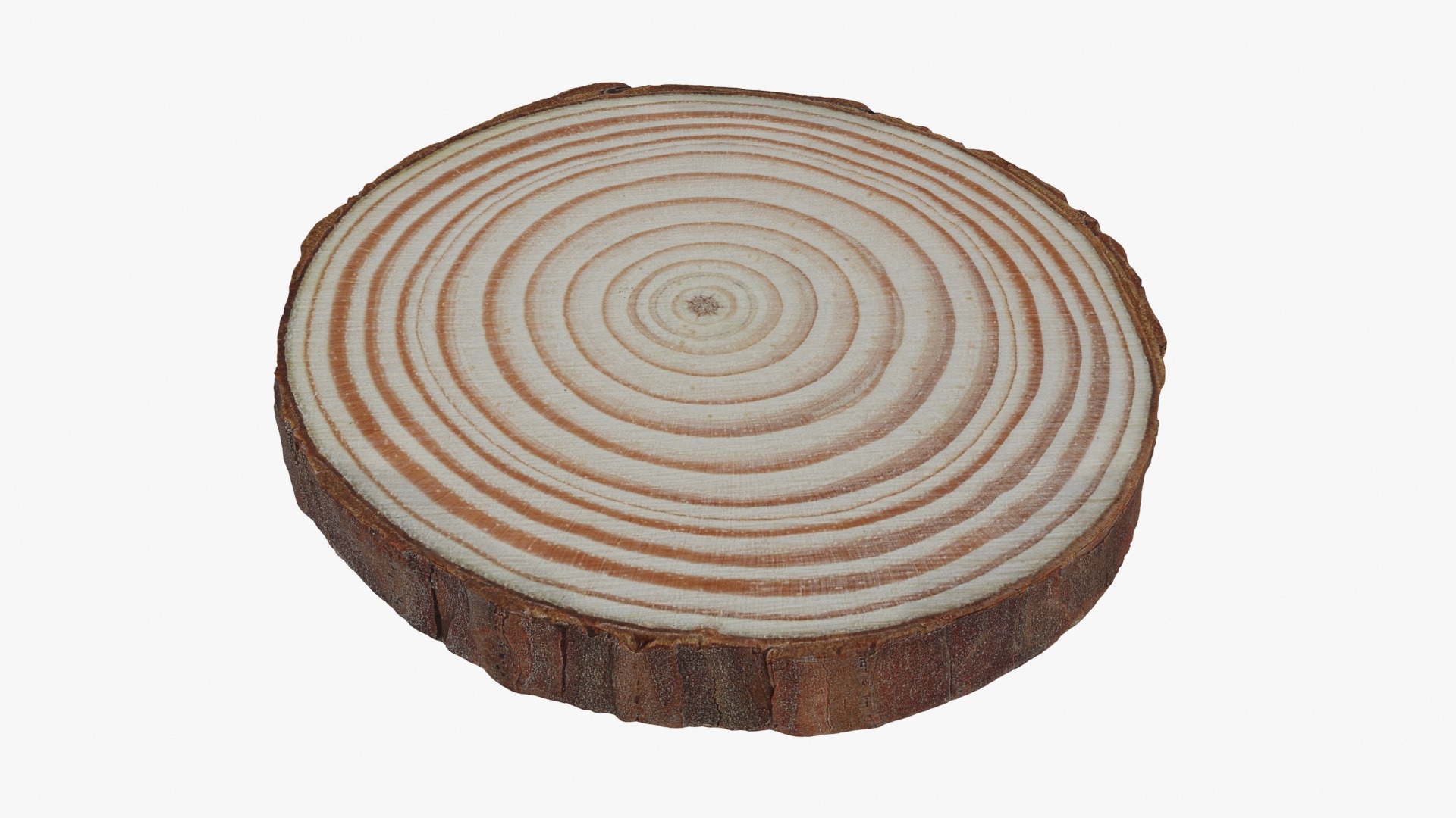 3D Wood Log Slice 02 - TurboSquid 2147987